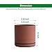 Amazon.com : Small 6 Inch Rust Terracotta Plant Pot with Drainage Hole ...