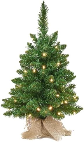 Amazon.com: Tetebow Tabletop Christmas Tree Artificial 24 inches Prelit ...