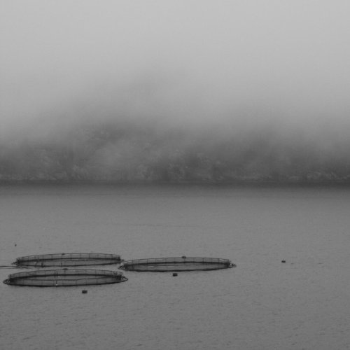 Amazon MusicでSpingereのCoffee-Housingを再生する