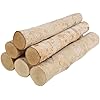 Amazon.com: Prsildan 6 Pack White Birch Logs for Fake Fireplace ...