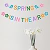 Amazon.com: Spring is in The Air Banner, Hello Spring Banner, Welcome ...