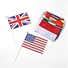 Amazon.com : 100 Countries Flags,International Country Stick Flag Small ...