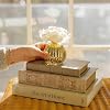 Amazon.com: Bridgewater Candle Sweet Grace Holiday Flower Diffuser ...