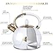 Amazon.com: SUSTEAS Stove Top Whistling Tea Kettle-Surgical Stainless ...