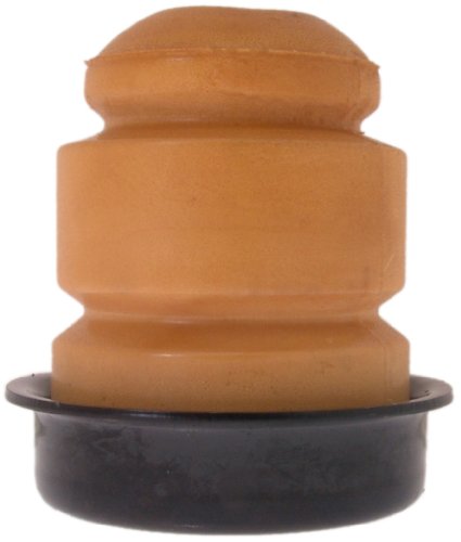 Amazon.com Most Wished For: Items customers added to Wish Lists and ...