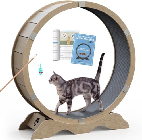10 Best Hoiru Cat Wheels for Happy and Healthy Felines! - Furry Folly