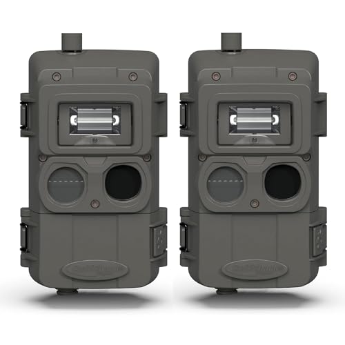 Best White Flash Trail Camera For Stunning Nighttime Wildlife Photos