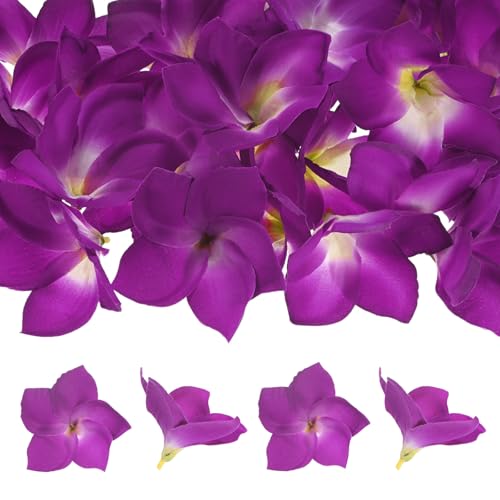 Best Tropical Purple Plumeria Flowers for DIY Decor – The Yogic Garden