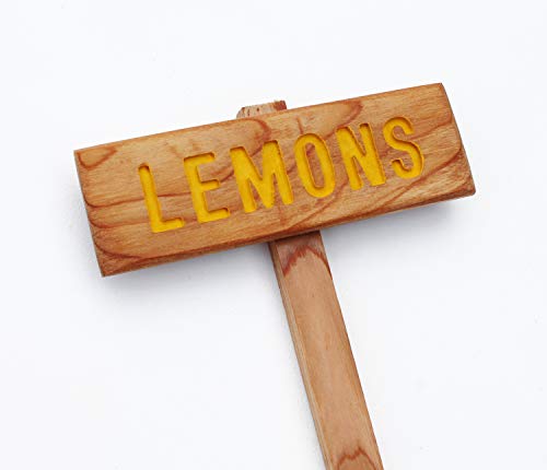 Amazon.com: LEMONS Rustic Tree Sign, Hand Routed, Citrus Tree Marker ...