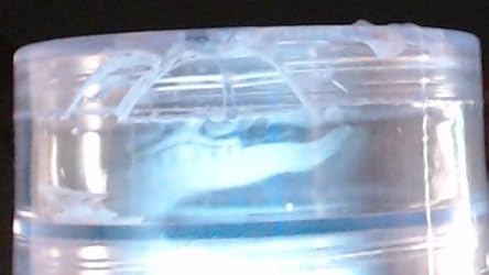 Amazon.com: Paylak CNTB111-6 Storage Stackable Containers 6 for Beads ...