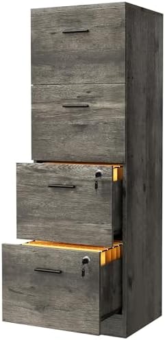 Amazon.com: DWVO 4-Drawer File Cabinet with Lock, Filing Cabinet for ...