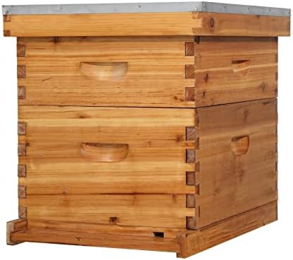 Amazon.com : BeeCastle 10-Frames Complete Beehive Kit, 100% Beeswax ...