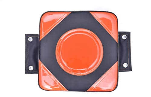 Amazon.in Bestsellers: The most popular items in Boxing Focus Bags