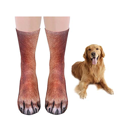 Dog Paw Socks – The 15 best products compared - Wild Explained