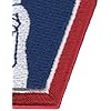 Amazon.com: 442nd Infantry Regimental Combat Team Patch New : Clothing ...