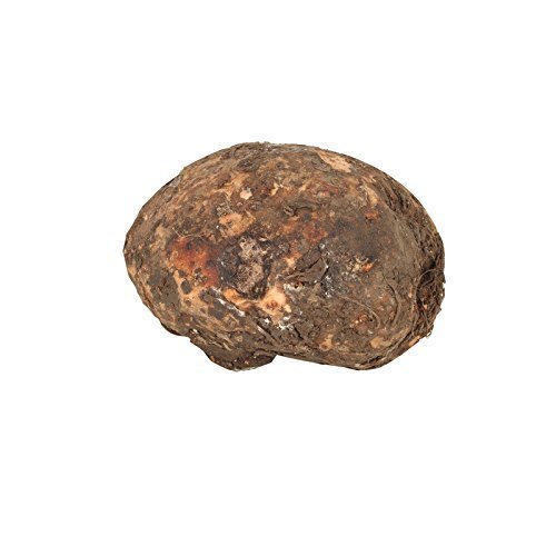 Fresh Yam - Suran, 250g : Amazon.in: Grocery & Gourmet Foods