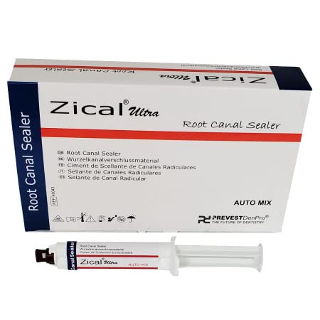 Prevest DenPro Zical Automix Root Canal Sealer : Amazon.in: Health ...