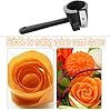 Amazon.com: Carrot Curler and Peeler, Vegetable Spiral Cutter,Fruit ...