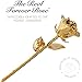 Amazon.com: Forever Rose Real 24K Gold Rose, Genuine One of a Kind Rose ...