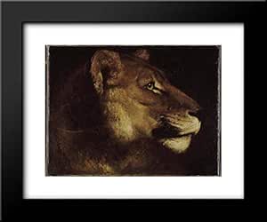Amazon.com: The Head of Lion 24x20 Framed Art Print by Theodore ...