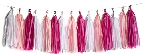 Amazon.com: We Moment Hot Pink Light Pink Tissue Paper Tassels Party ...