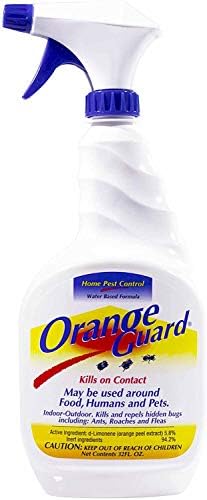 Amazon.com: Minty Insect & Pest Control, Powerful & Natural 5% ...