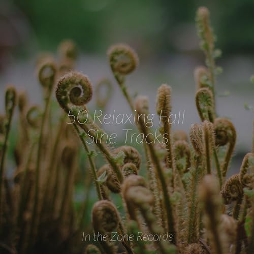 Spiele 50 Relaxing Fall Sine Tracks von Shakuhachi Sakano, Deep Sleep ...