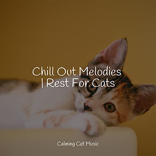 Play Chill Out Melodies | Rest For Cats by Cat Music Experience, Calm ...