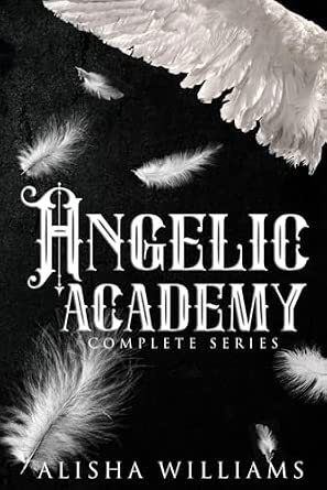 Amazon.com: Angelic Academy omnibus: 9798309509058: Williams l ...