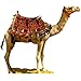 Amazon.com: Anderson's Desert Camel Cardboard Stand-up Kit, Life Size ...