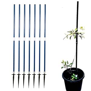 Invelligen Garden Plant Pole 5 Feet Pack of 10 Plant Stem Support ...