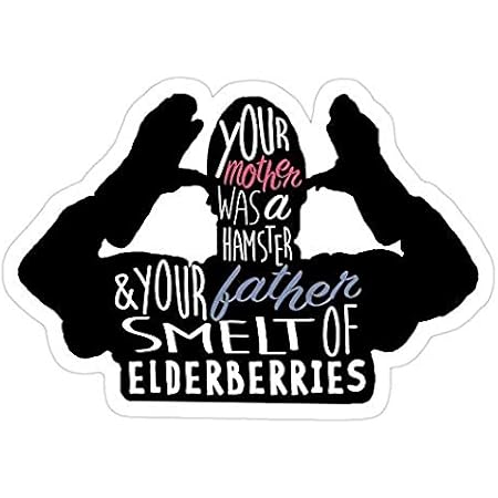 Amazon.com: French Taunter, Monty Python and The holy Grail Decal ...