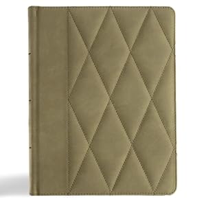 CSB Notetaking Bible, Large Print Edition, Camel LeatherTouch, Black ...