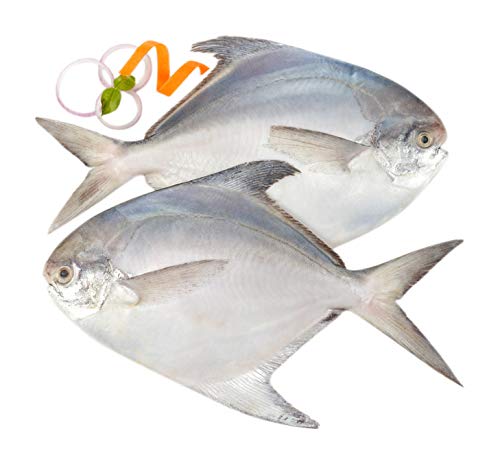 Pescafresh Whole White Pomfret Small - As it is, 150g Pack : Amazon.in ...