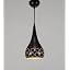 Buy ONLINE GENERATION Vintage Metal Pendant Ceiling Lamp, Black Hanging ...