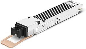 Amazon.com: Genuine MMA4Z00-NS 800Gb/s Twin-Port OSFP, 2x400Gb/s ...