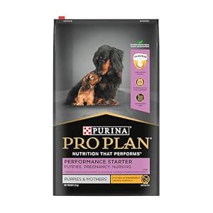 PURINA PRO Plan Performance Kibble Starter, Puppies & Mothers, 12 Kg ...