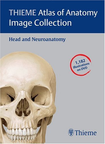 THIEME Atlas of Anatomy Image Collection-Head and Neuroanatomy ...