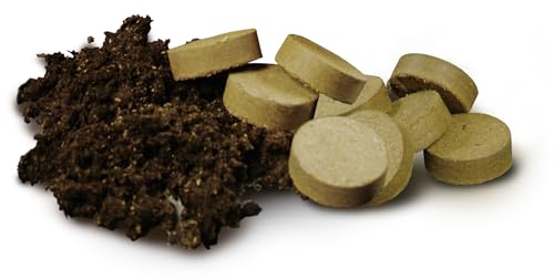 Should I Add Peat Moss To My Soil? Pros & Cons