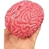 Rurunklee Brain Stress Ball Toy,Realistic Halloween Squishy Toys ...