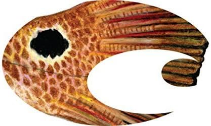 Amazon.com: Costa Del Mar Costa Logo Decal-Large Realtree : Electronics