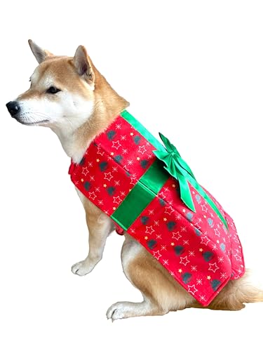 21 Best Dog Christmas Outfit Ideas for a Festive Pet - Basically Dogs