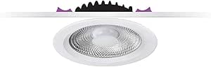 RAFEED 30W LED Downlight, 3000K Warm White, CRI 80 with LED Driver, 40 ...