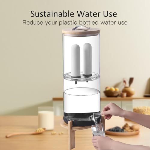 FACHIOO All Glass Gravity-fed Water Filter System, 2.25-Gallon All ...