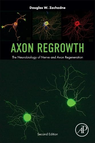 Axon Regrowth: The Neurobiology of Nerve and Axon Regeneration ...