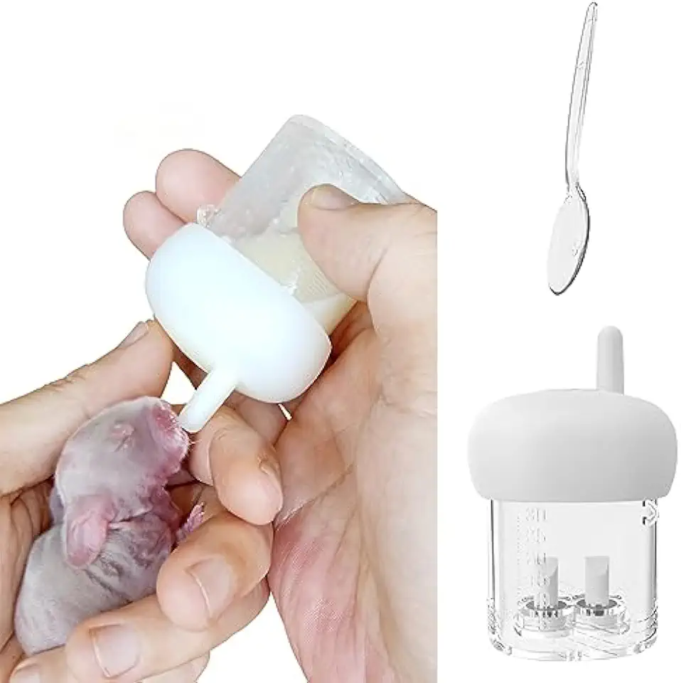 The Essential Guide To Feeding Baby Rabbits: A Complete Beginner's ...