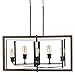 Home Decorators Collection Palermo Grove Collection 5-Light Black ...