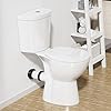 SUPERFLO Rear Outlet Toilet With 19 Inch Tall Toilet Bowl & Tank, High ...