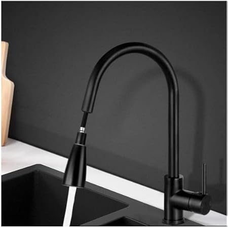 Carysil ALA 1512 Brass Kitchen Faucet with Pull Out spout Sprayer and ...