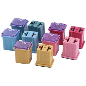 10 PCS Mini Car Fuses Kit (20A/30A/40A/50A/60A, 2 Pieces Each ...